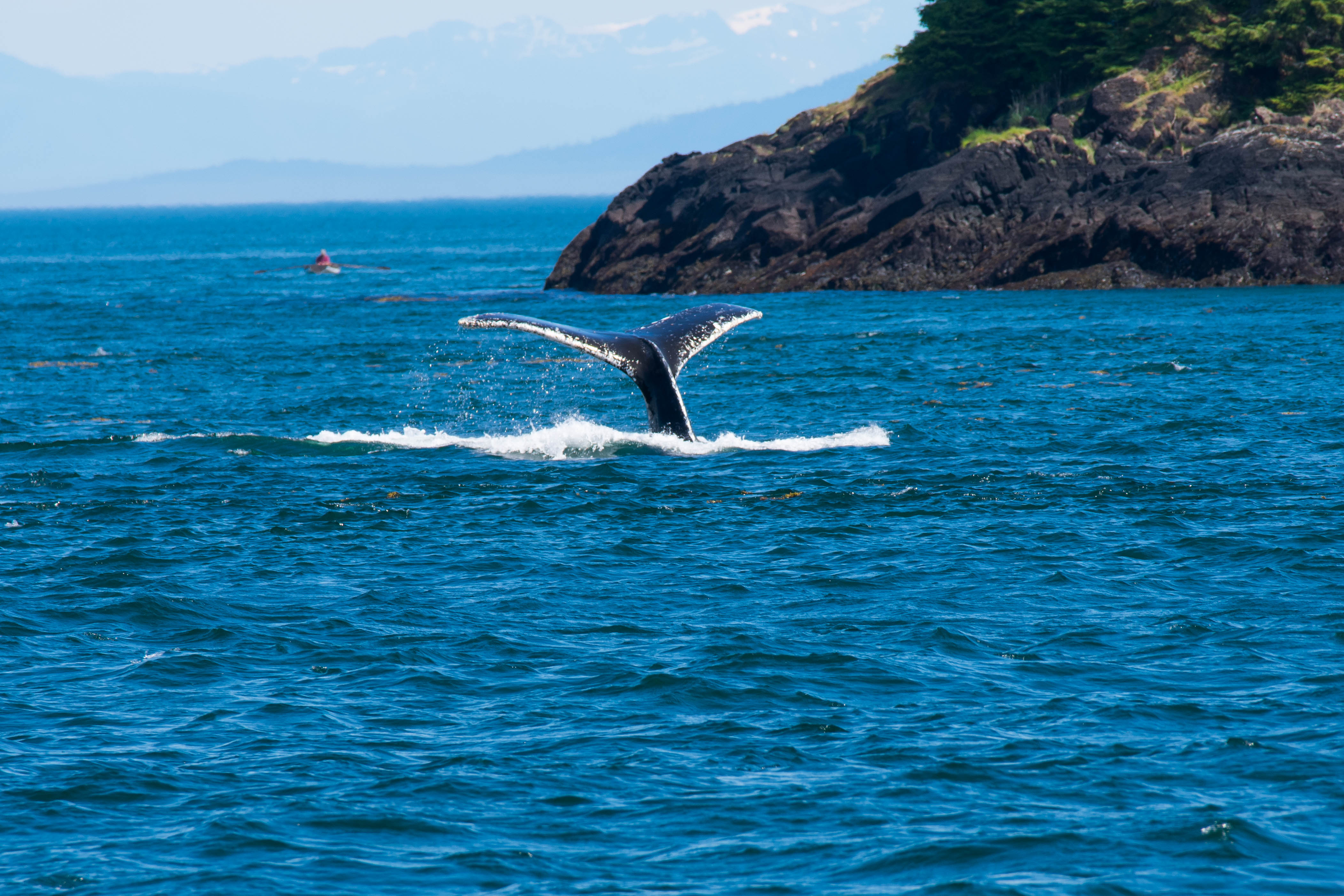 Point Baker and Port Protection – MV Miss Miranda