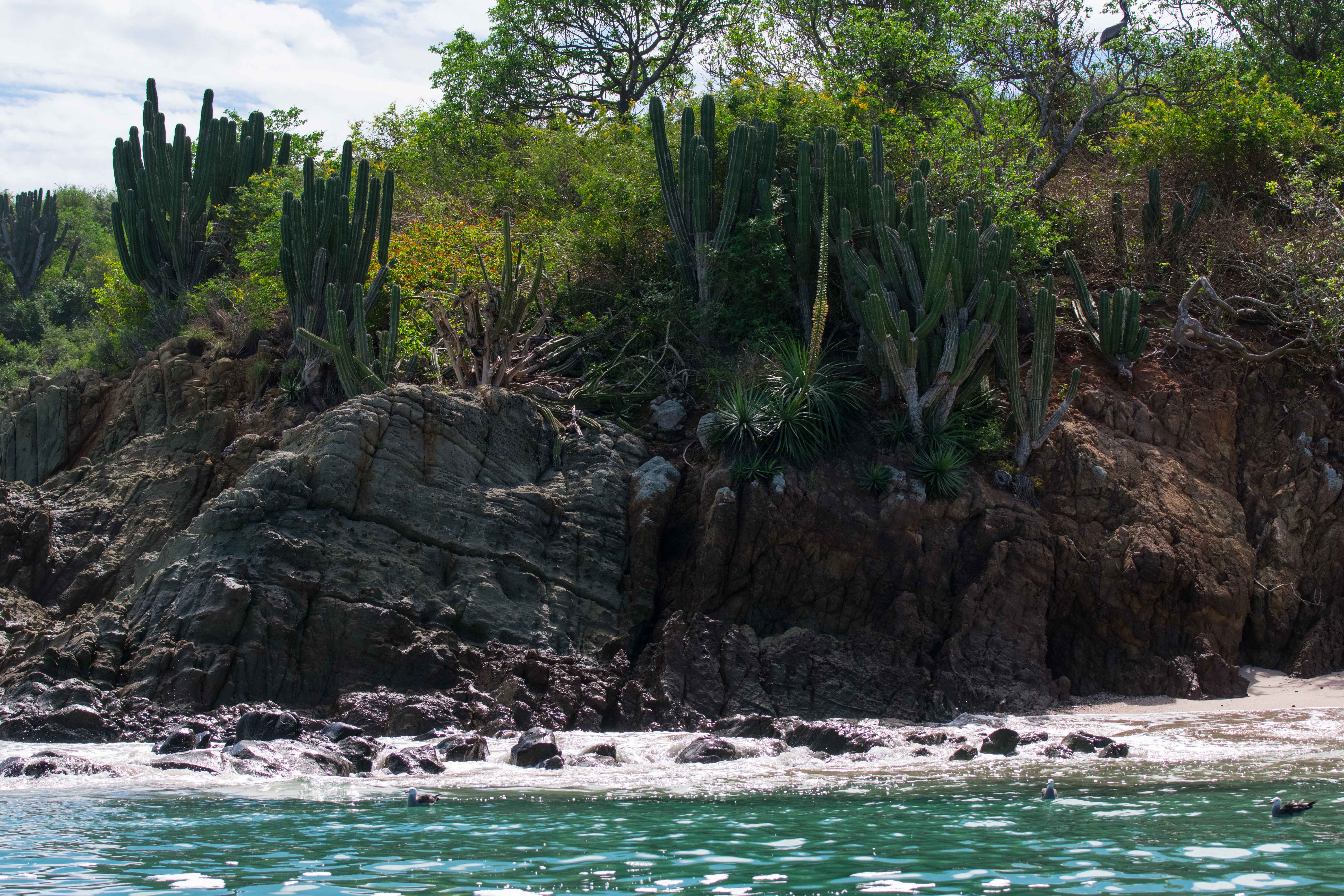 Bahía Chamela – MV Miss Miranda